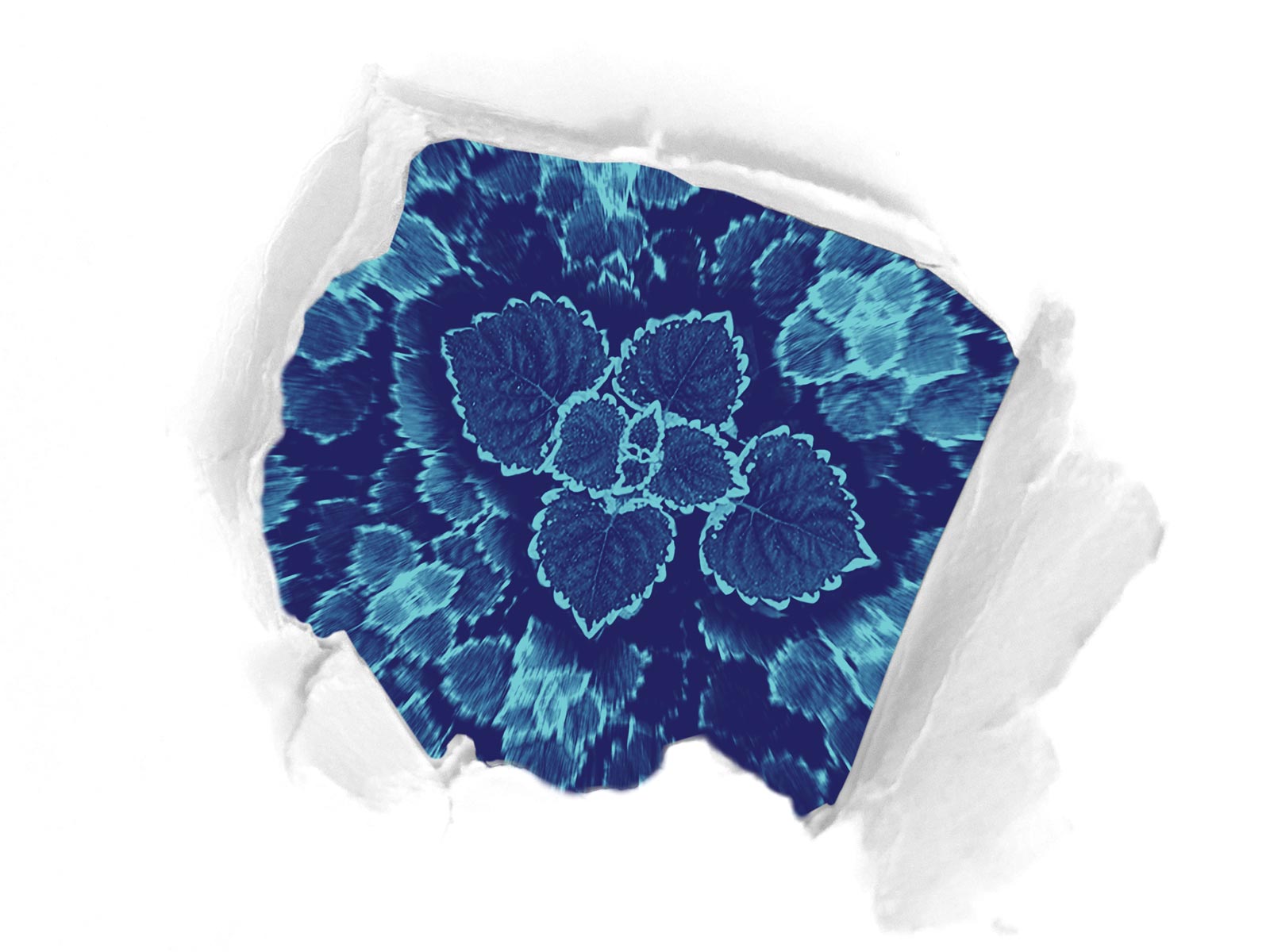 Steps toward being more strategic with your content - Inbound Found